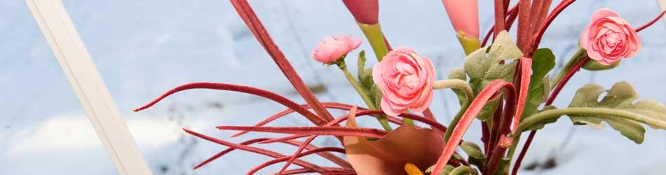 About Us | Slieve Na Mon Care Centre